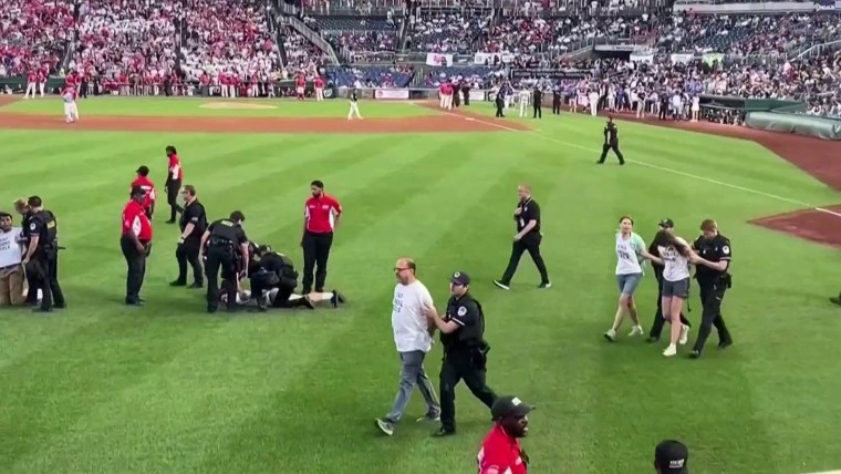 Fossil fuel protesters rush field at Congressional baseball game