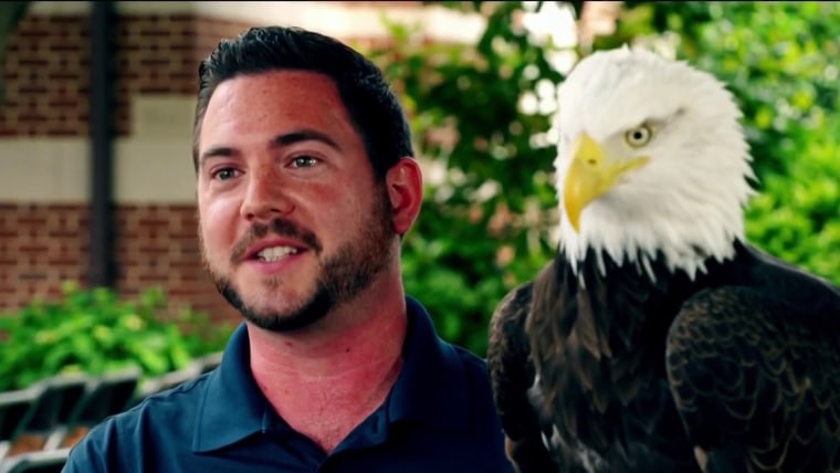 American bald eagle and his handler celebrate the resurgence of the species
