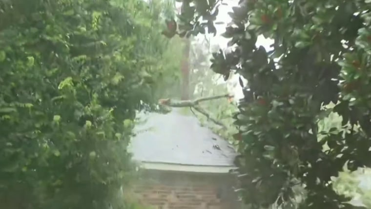 First Hurricane Beryl death reported after tree falls on Texas home