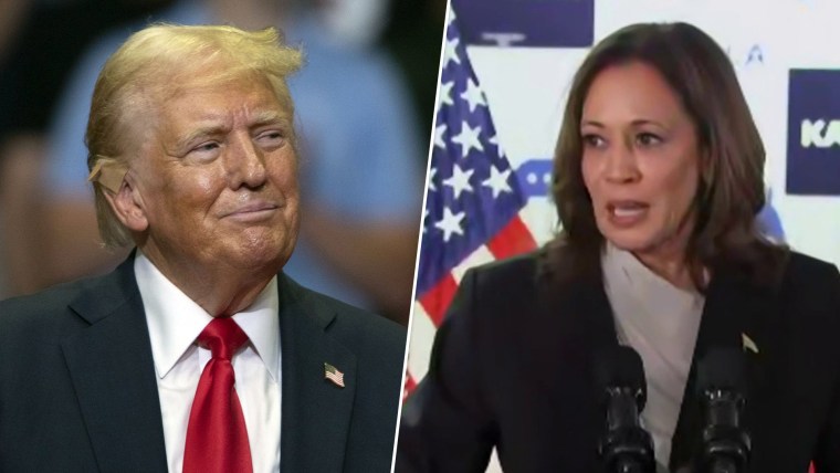 See VP Harris slam 'fraudster' Trump in first speech at campaign ...