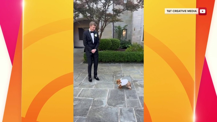 Bride's Brother Surprises Her With Father-Daughter Dance After Their ...