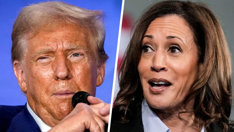Poll Harris Ahead Of Trump In These Three Crucial Battleground States