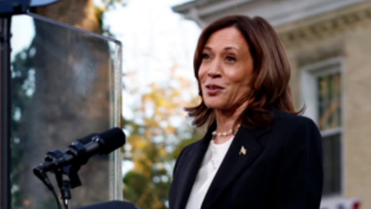 Republican strategist calls out Bush, Romney for not endorsing Harris ...