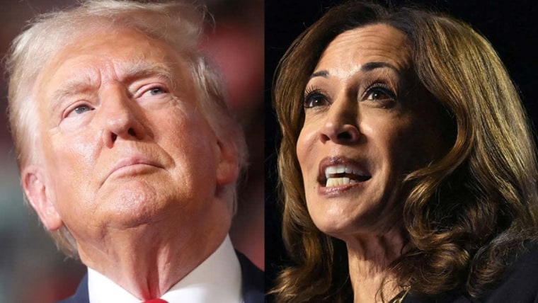 Who Will Win Over Undecideds Harris Trump Make Final Push 6174