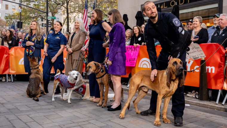 Meet Bo, the Winner of 2024 American Humane Hero Dog Awards: EXCLUSIVE