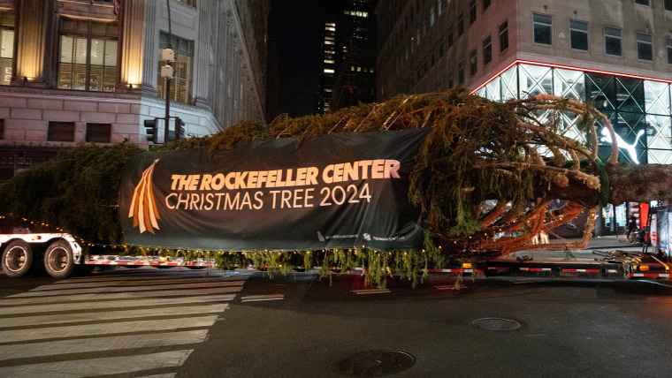 See the 2024 Rockefeller Center Christmas tree arrive in NYC