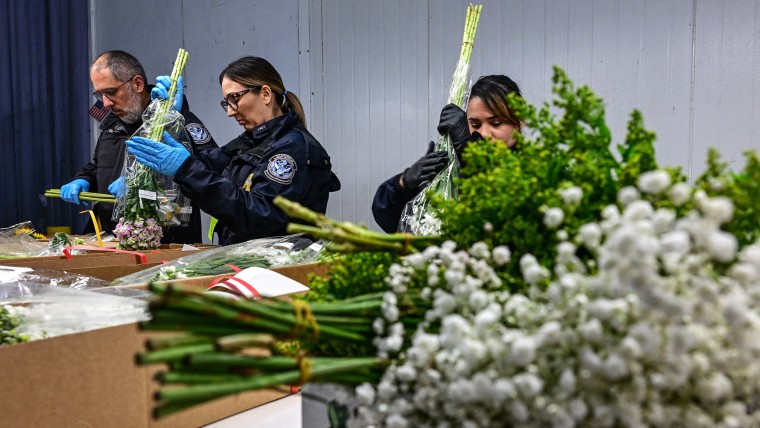 Roses are red, violets are blue, 940 million flowers are traveling ...