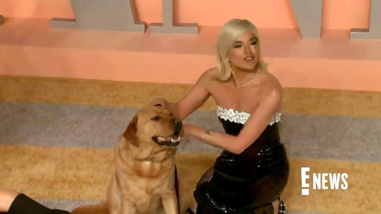 Selma Blair’s Service Dog Steals The Show At Oscars Afterparty