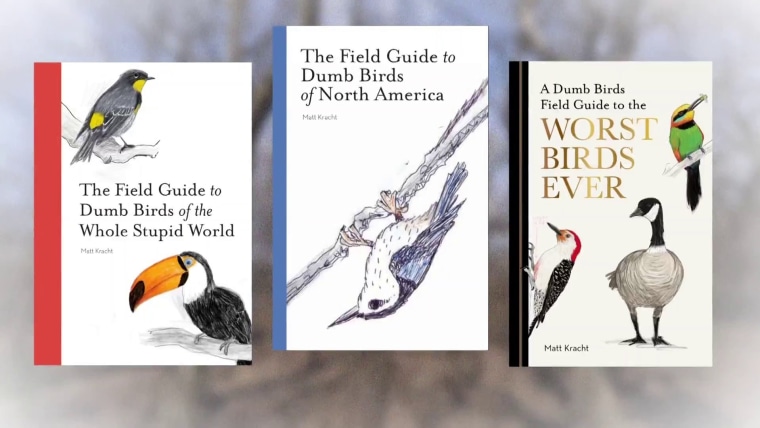 Author Matt Kracht shines a light on ‘Dumb Birds’ with book series