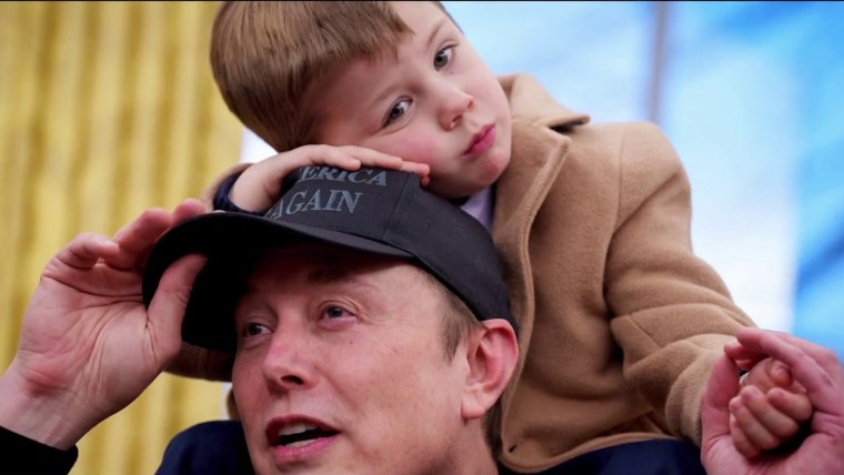 Elon Musk emerges as leading voice in pro-natalism movement