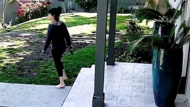 Video shows California police shooting Weezer bassist's wife