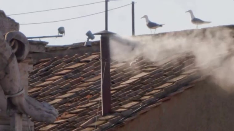 Watch: White smoke from Vatican's Sistine Chapel indicates new pope elected
