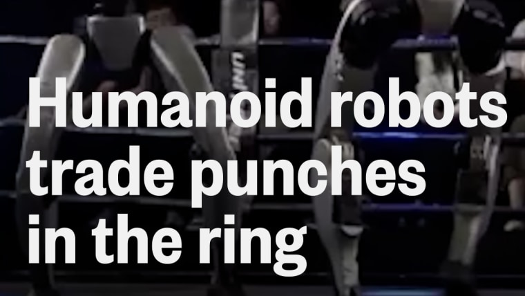 Humanoid robots trade punches in the ring