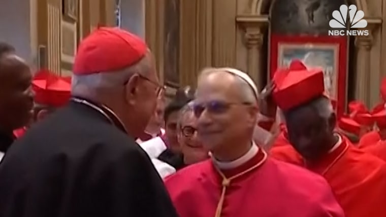 Cardinals congratulate Pope Leo XIV