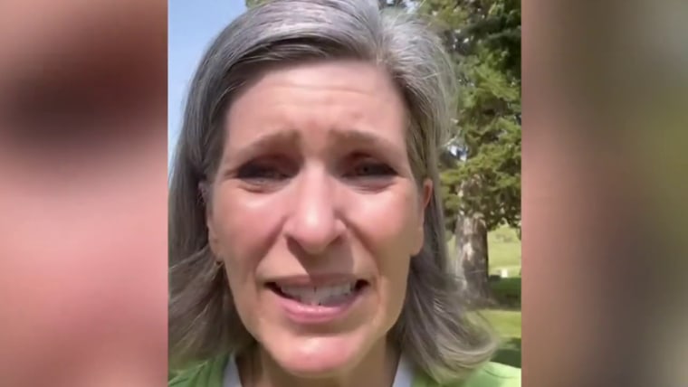 Joni Ernst posts sarcastic apology video after downplaying concerns ...
