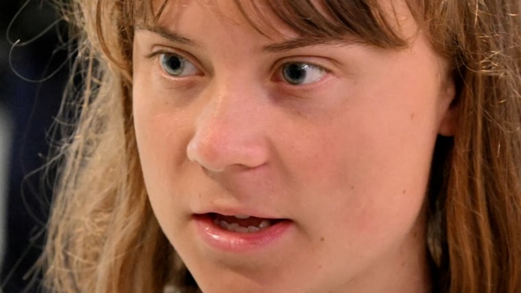 Greta Thunberg describes detention by Israeli forces