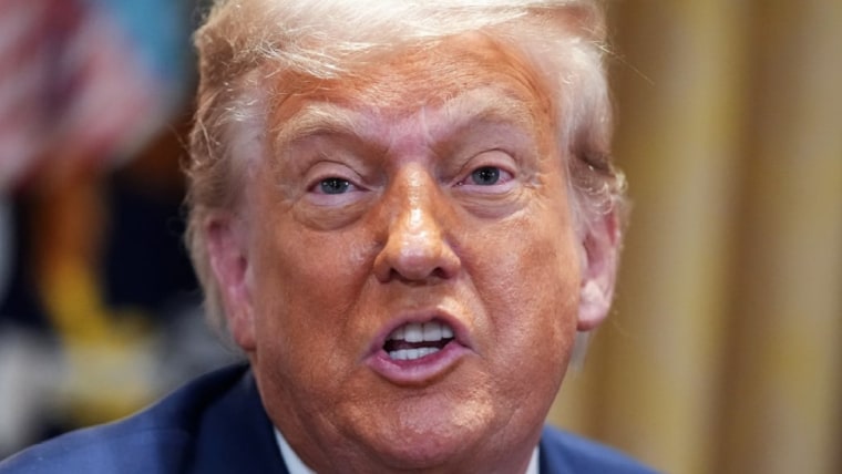 Trump appointees won’t disagree with president ‘even when he is dead ...