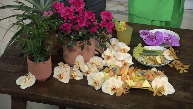 Summer Flower Arrangements: Foliage Wall, Fun Vases, More
