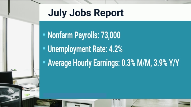 Job market weakens as U.S. adds only 73,000 jobs in July