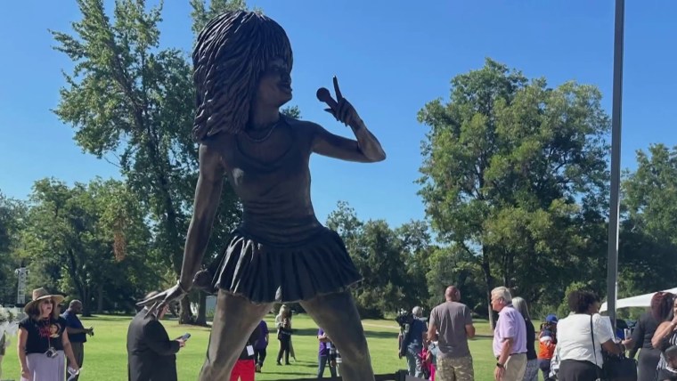 New Tina Turner Statue in Tennessee Sparks Backlash From Fans