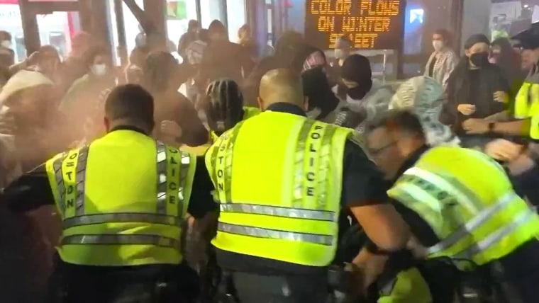 Pro-Palestinian Rally in Boston Turns Violent, At Least 13 Arrested