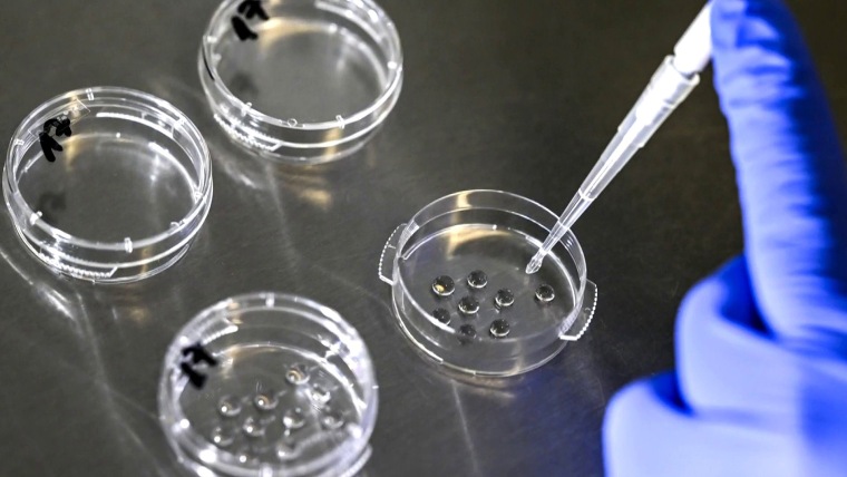 Trump Announces Efforts to Expand Access to IVF Drugs