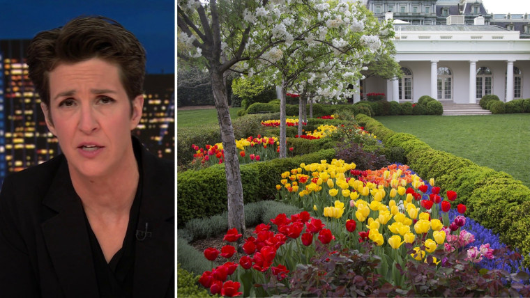 Trump’s White House renovation ambitions take a weird turn