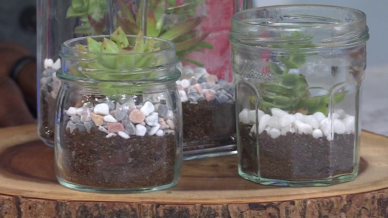 How to Use Empty Bonne Maman Jars: The Sweetest Ideas