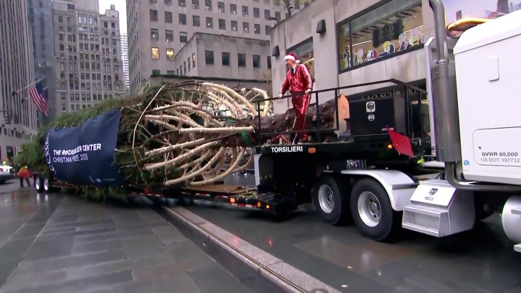 2025 Rockefeller Center Christmas Tree Arrives in New York City