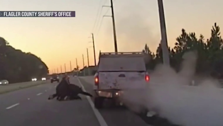 Chaotic Florida traffic stop ends with truck ramming into police vehicle