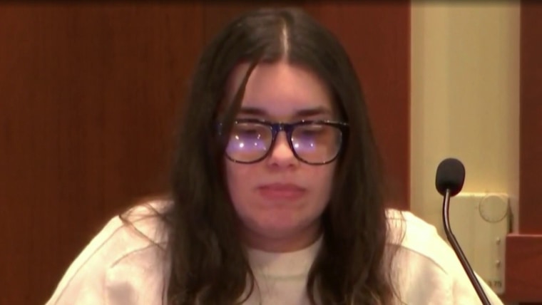 Au Pair Takes Stand in Trial of Virginia Man Accused of Plotting Double ...