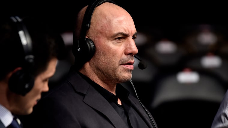 Joe Rogan criticizes ICE tactics: 'Are we really going to be the Gestapo?'
