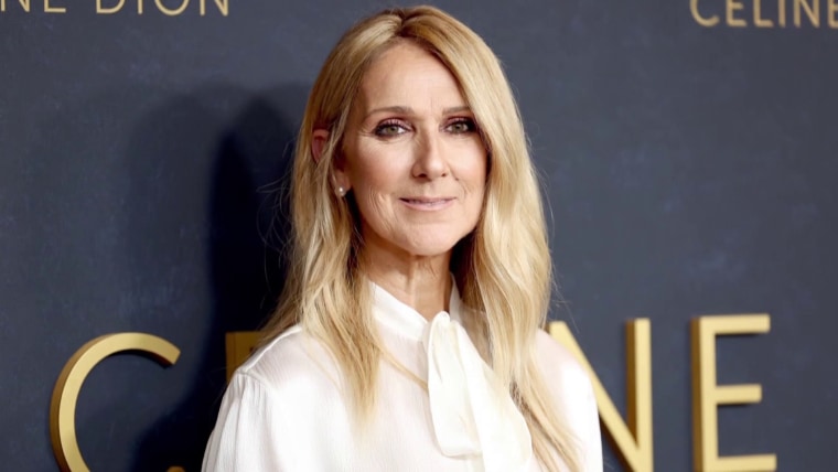 Céline Dion Lyric Posters Spark Comeback Concert Rumors
