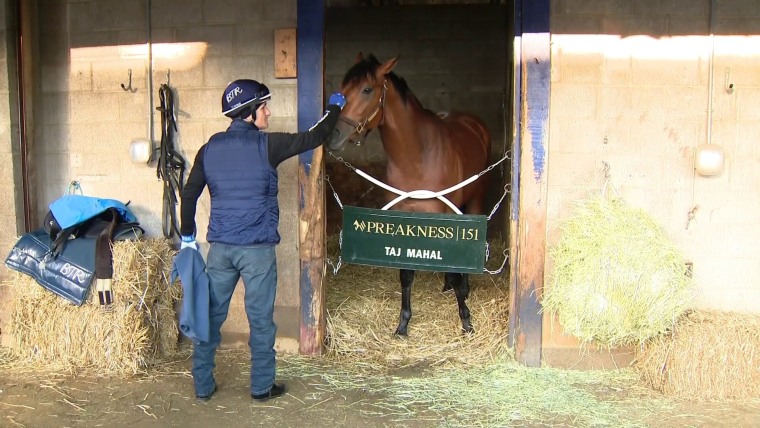 Preakness 2026 guide: Where to watch, what time it starts, channel ...
