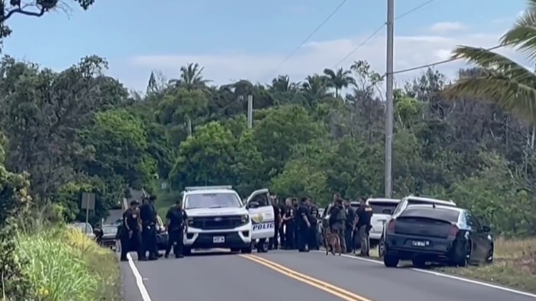 Hawaii police arrest suspect linked to three deaths
