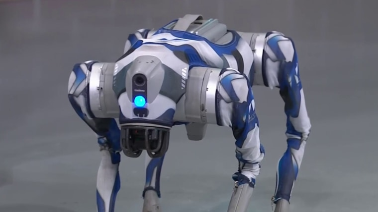 Conoce cómo los robots con IA se están integrando a la vida cotidiana