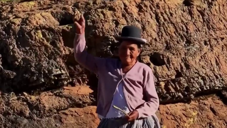 Una mujer asegura haber peleado con un extraterrestre cuerpo a cuerpo