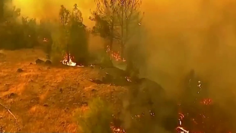 Accidente de avión cisterna mata a piloto de bomberos en Oregon: se ...