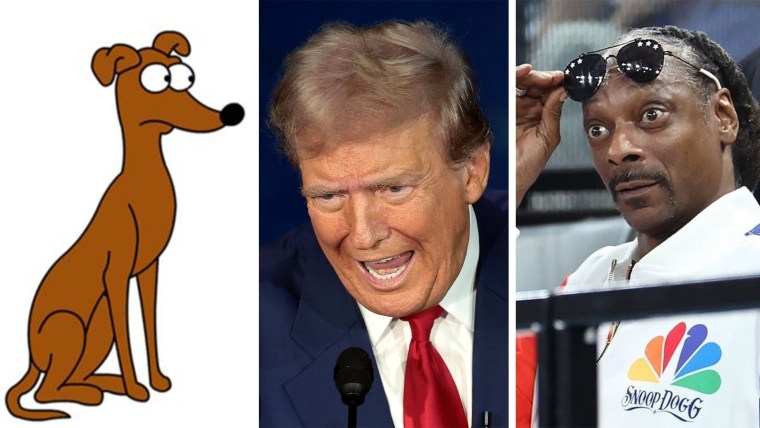 Las redes explotaron en memes tras Trump decir que en Springfield (no ...