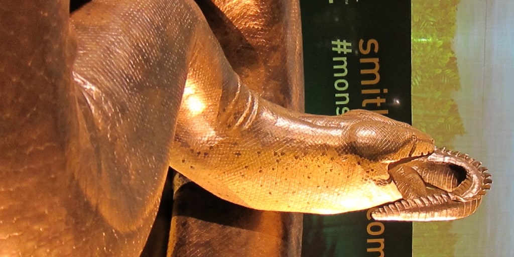 largest prehistoric snake