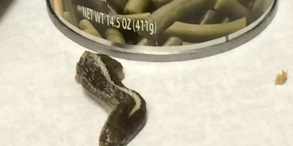 Green Bean Snake Memes
