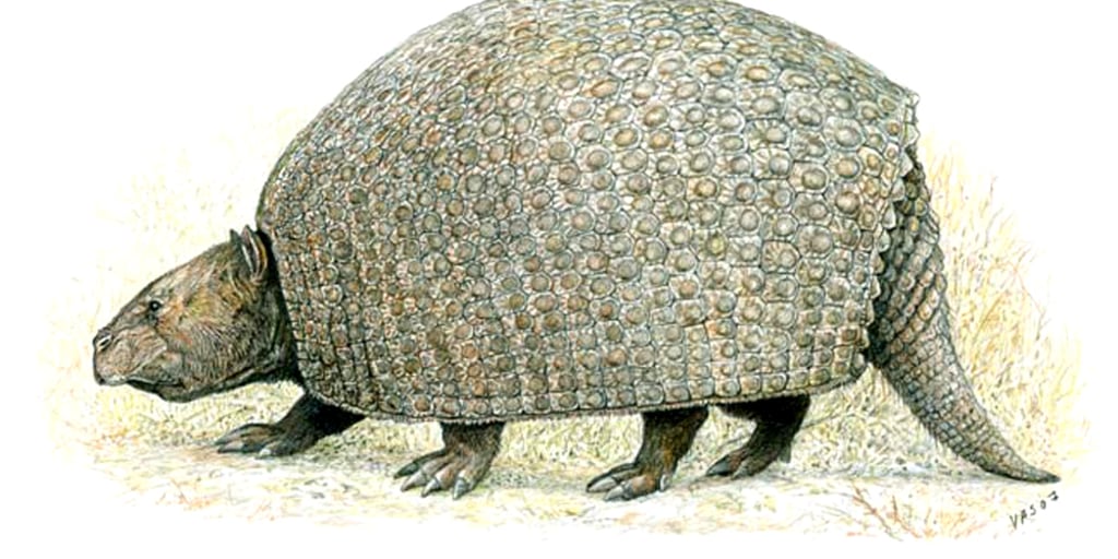 giant armadillo extinct