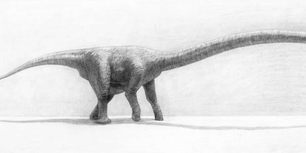 how to draw a dinosaur with a long neck