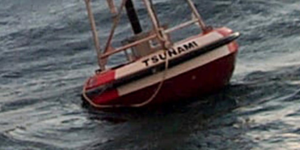 indian ocean warning system