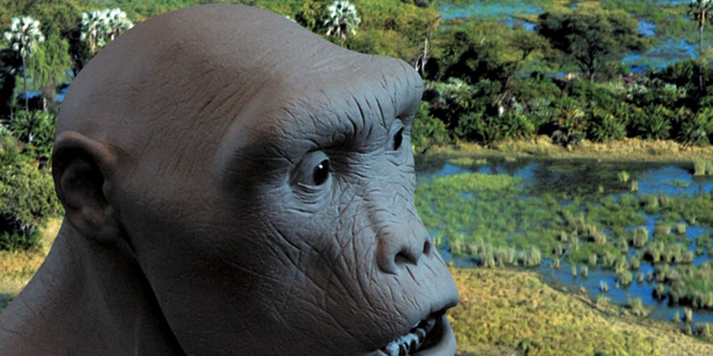 primate evolution began