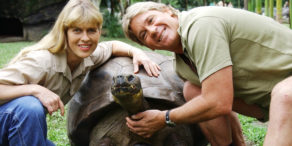 darwin the tortoise blackpool