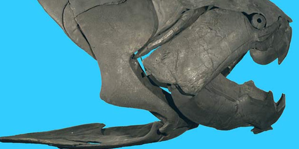 world's largest prehistoric fish