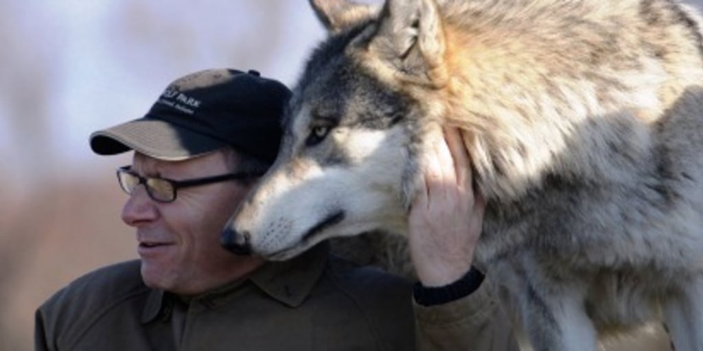 Mutant Humans Dog Genetics And The Shape Of Dogs | American Scientist