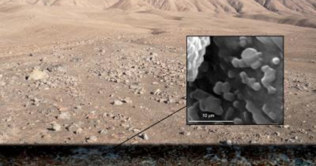 Test run for Mars detects life beneath Chilean desert