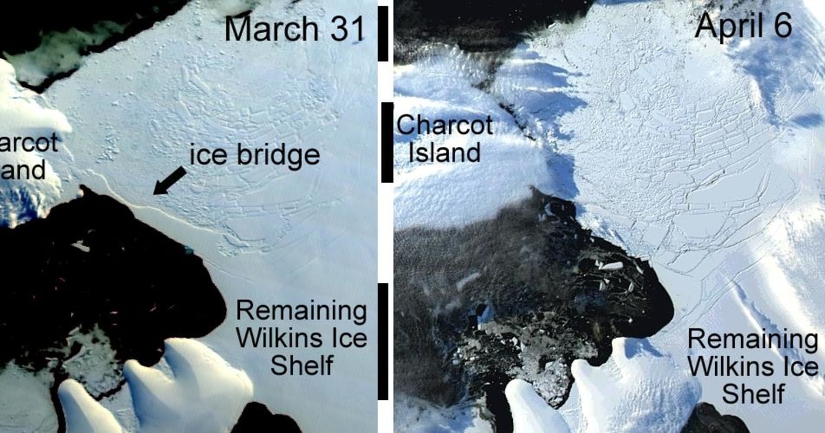 Ice shelf bridge on Antarctica collapses